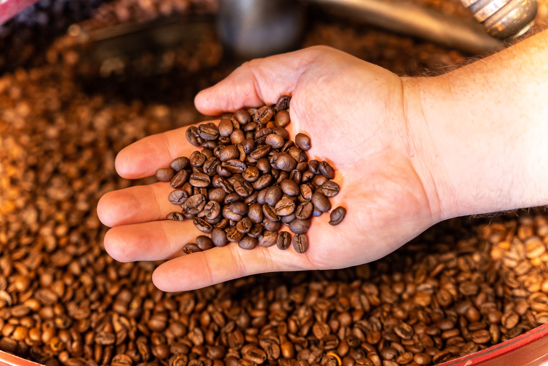 BEACON COFFEE ROASTERS - Locally Roasted Fair Trade Coffee – Beacon ...