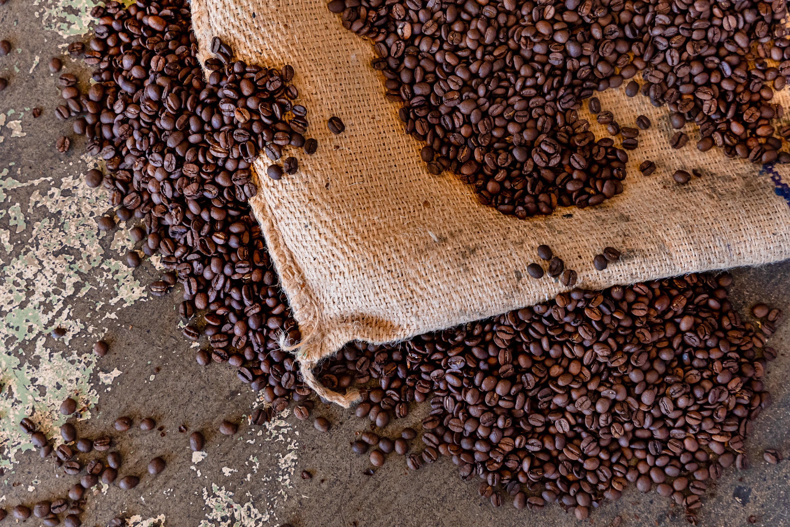 Shop Coffee - BEACON COFFEE ROASTERS – Beacon Coffee Roasters