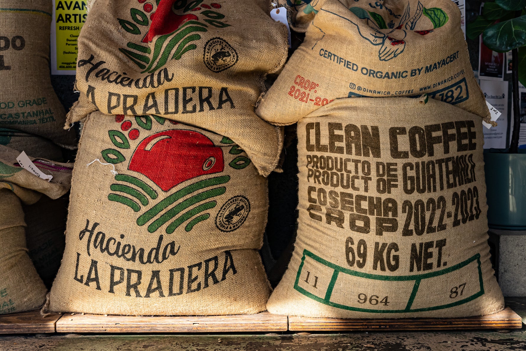 Shop Coffee - BEACON COFFEE ROASTERS – Beacon Coffee Roasters