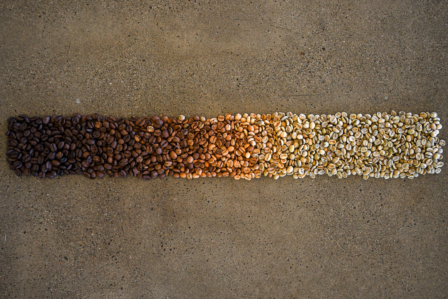 Coffee Education - Beacon Coffee Roasters