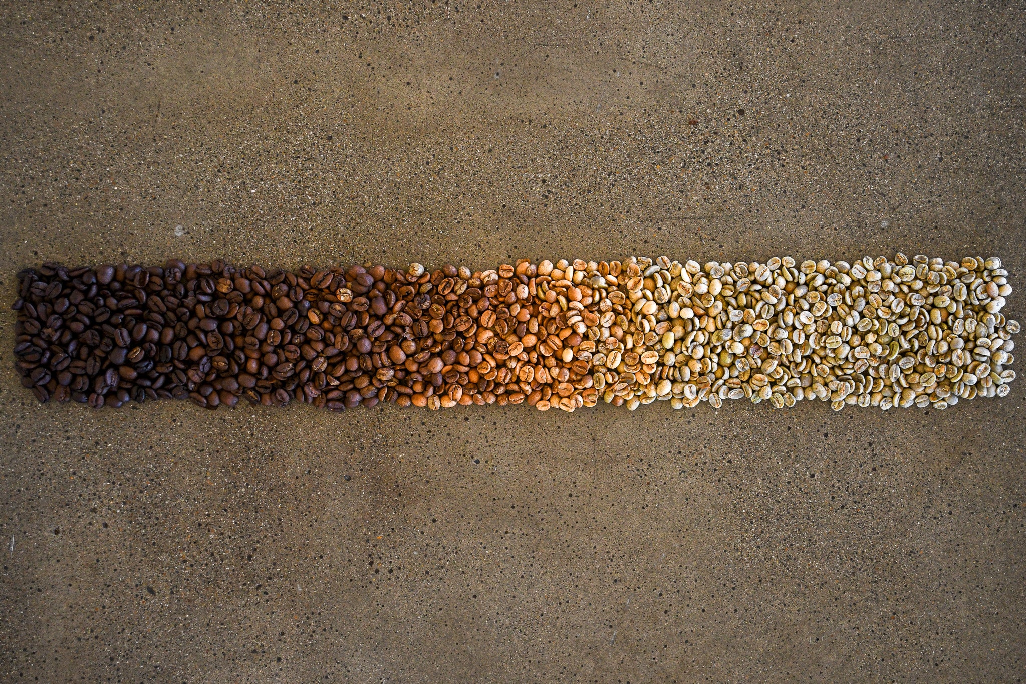 Coffee Education - Beacon Coffee Roasters
